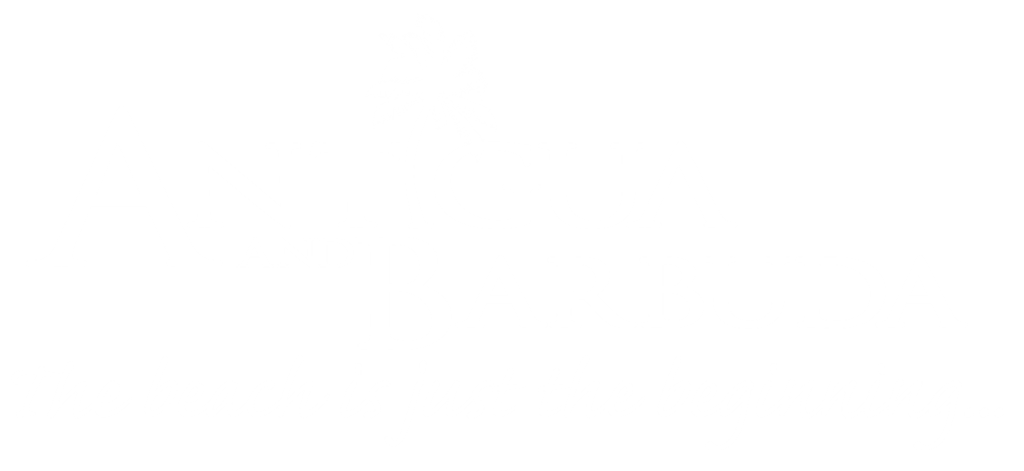 Wadadli Cats – Visit Antigua & Barbuda