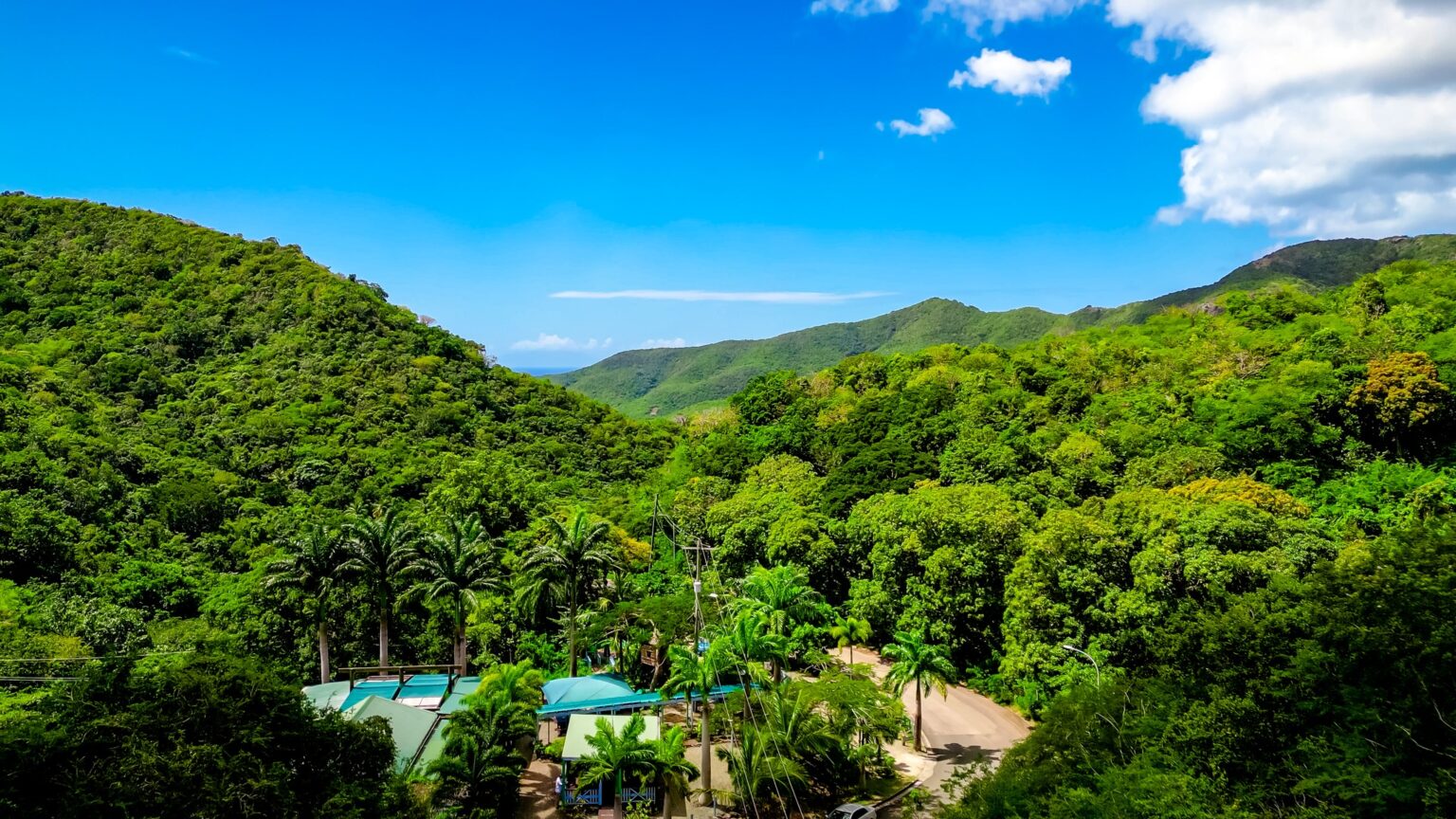 Barbuda Express Ferry Service & Day Tours – Visit Antigua & Barbuda