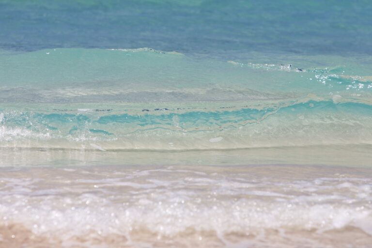 Barbuda Express Ferry Service & Day Tours – Visit Antigua & Barbuda