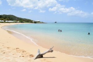 Barbuda Express Ferry Service & Day Tours – Visit Antigua & Barbuda