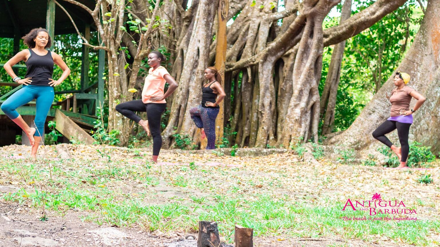 Barbuda Express Ferry Service & Day Tours – Visit Antigua & Barbuda